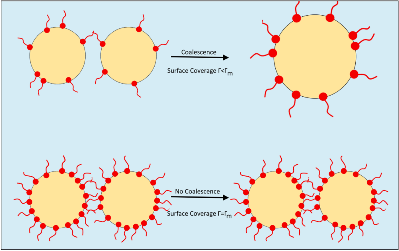 Understanding Liquid-Liquid Phase separation and the Impact of ...